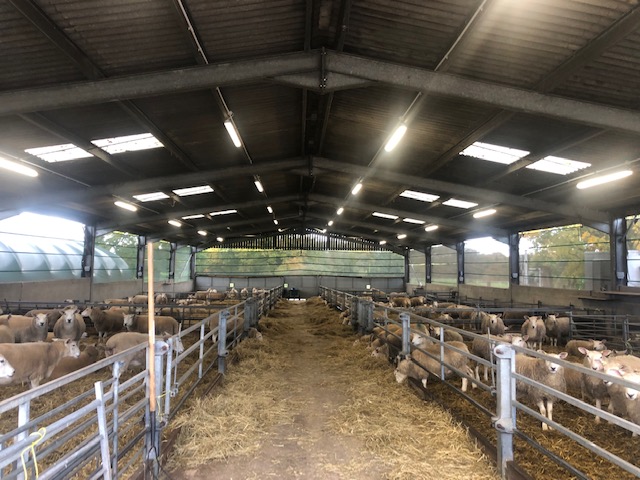 NESS HEATH FARM SCHOOL OF VETERINARY SCIENCE